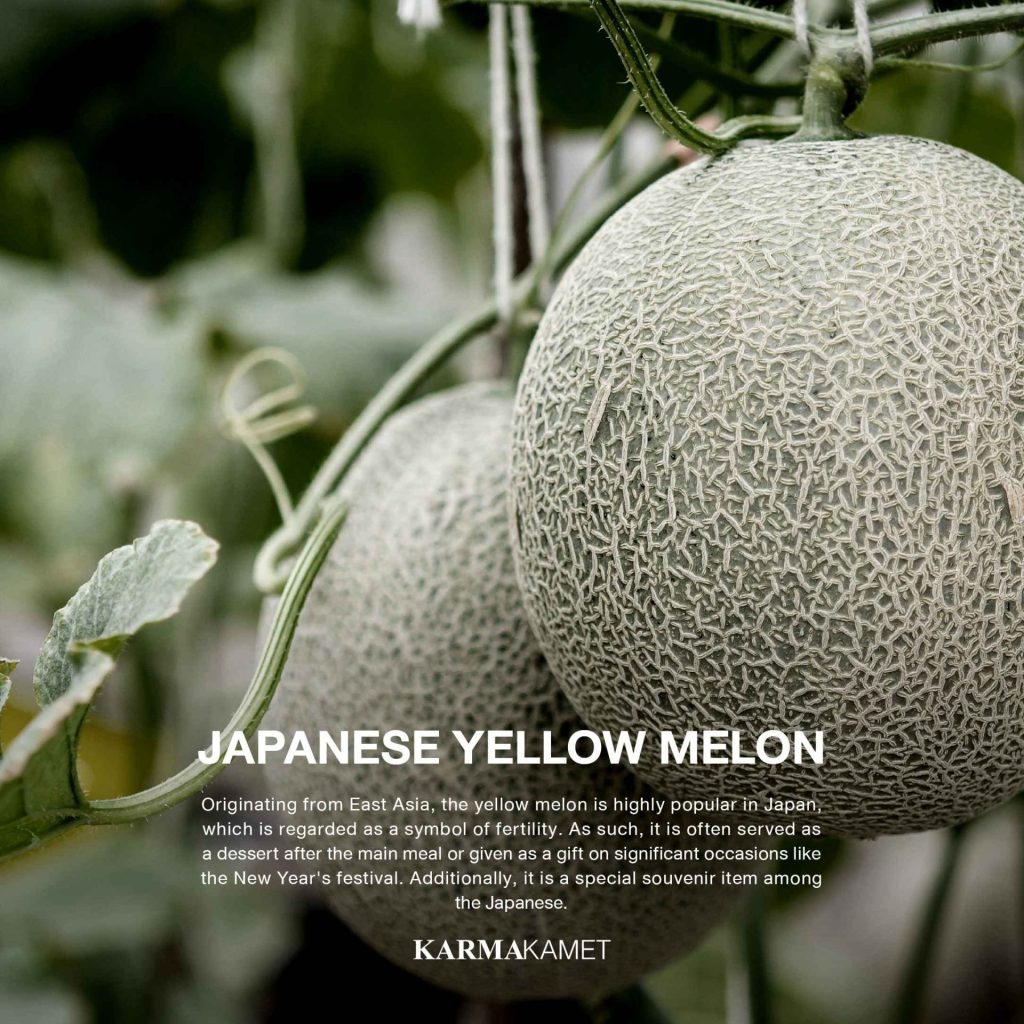 The Secret of Scent: Japanese Yellow Melon - Karmakamet