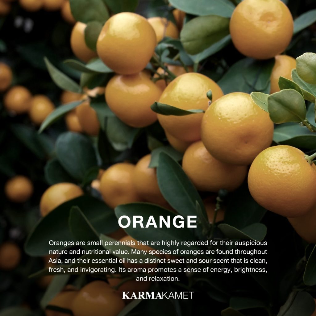 The Secret of Scent: Orange - Karmakamet