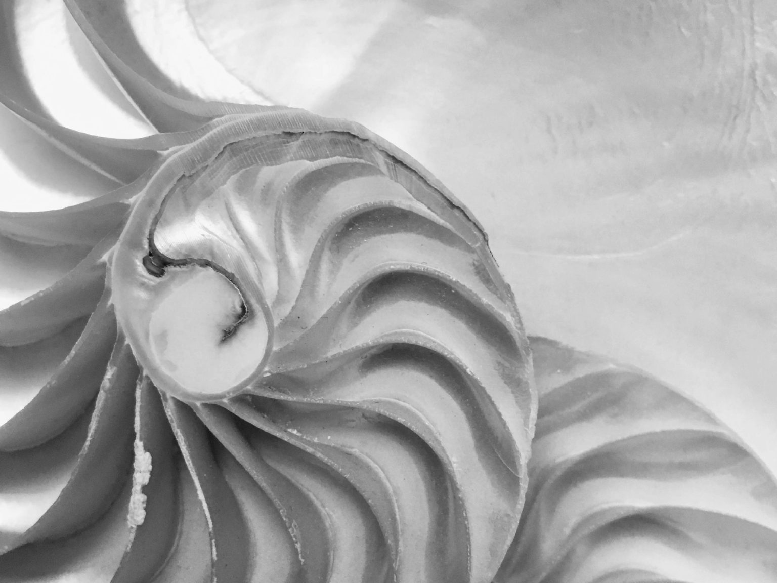 Unveiling the Power and Elegance of Simplicity. - Karmakamet