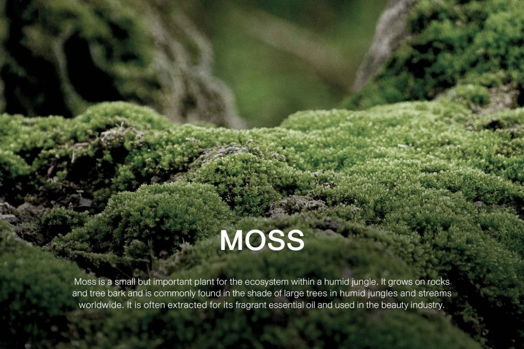 The Secret of Scent: Moss - Karmakamet