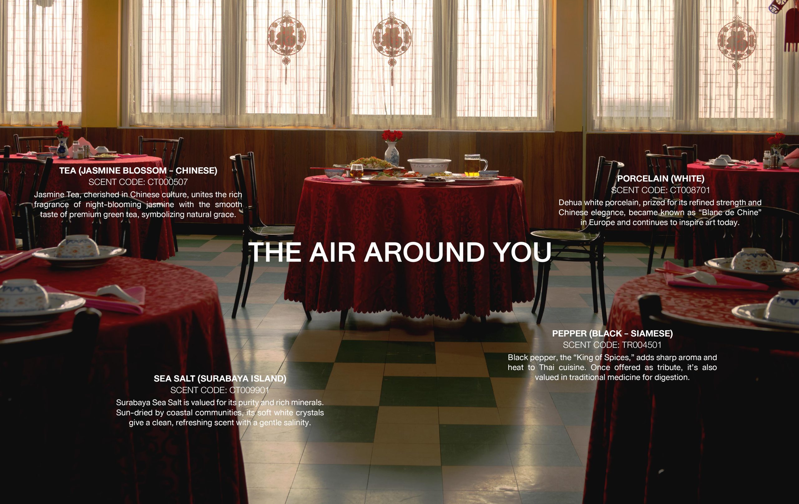 THE AIR AROUND YOU - Karmakamet