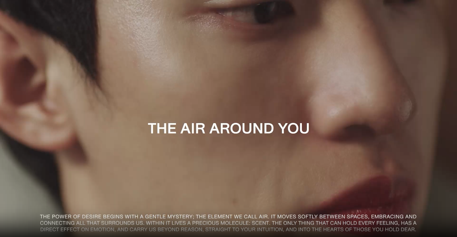 THE AIR AROUND YOU - Karmakamet